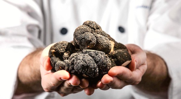 Trüf Mantarı ve Özellikleri | Doğal Mantarlar